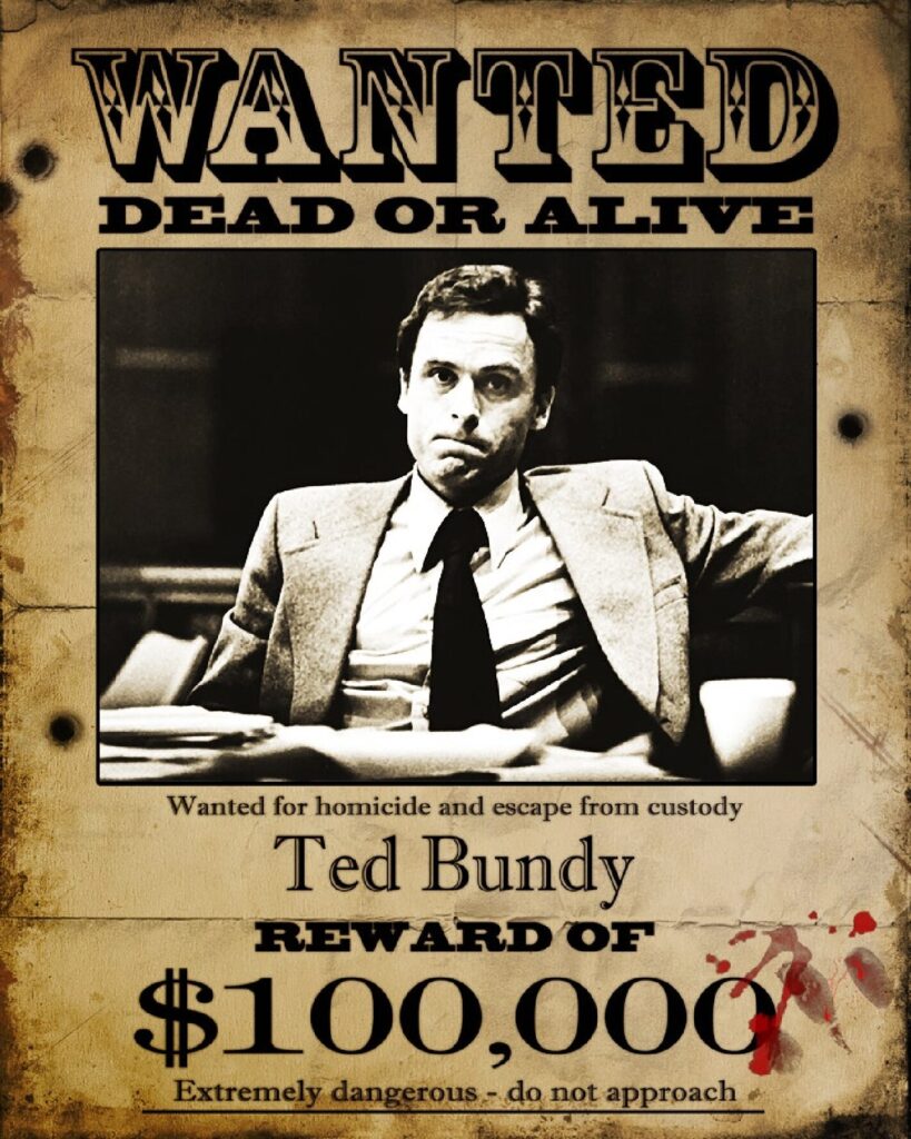 22 Printable Wanted Poster Ideas & Templates for Western Decor